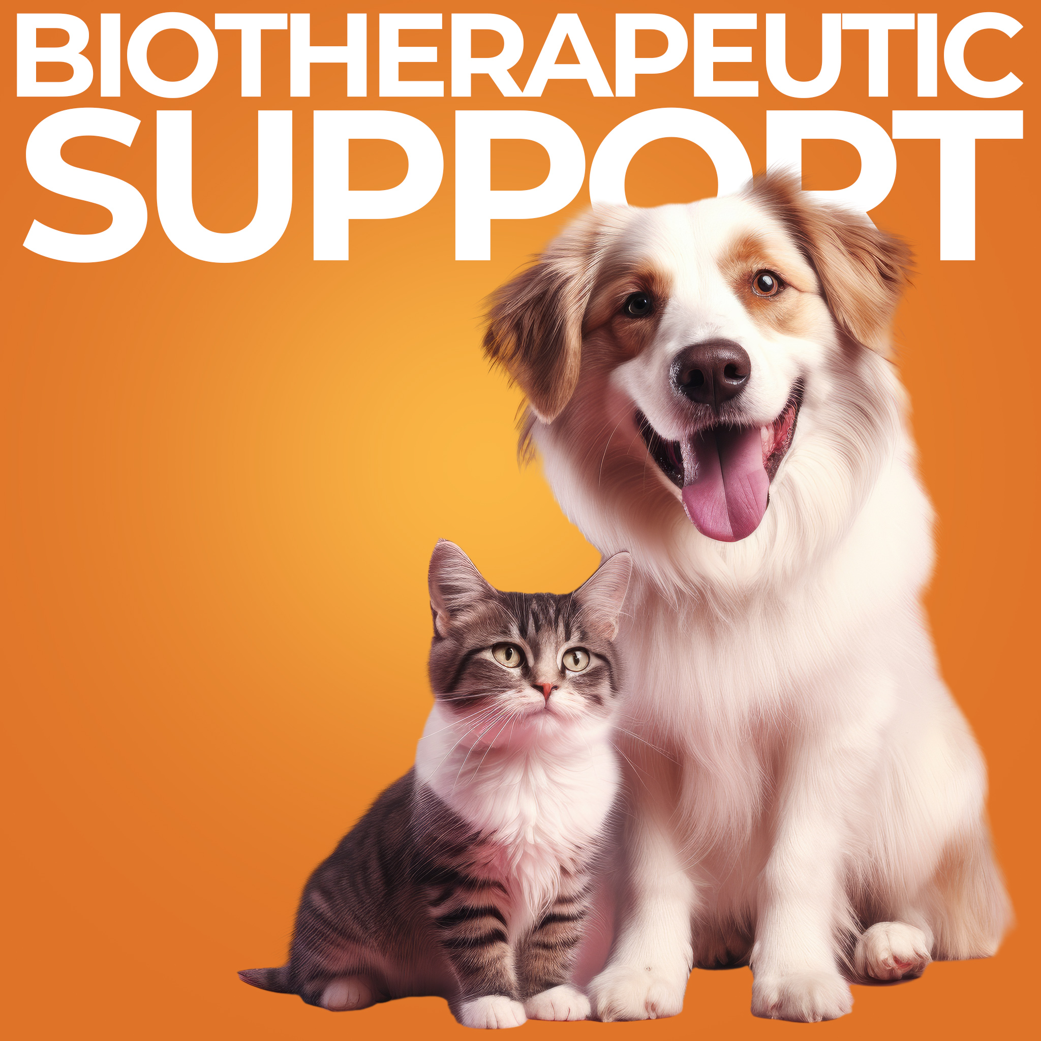 Pet Formula PH Philippines